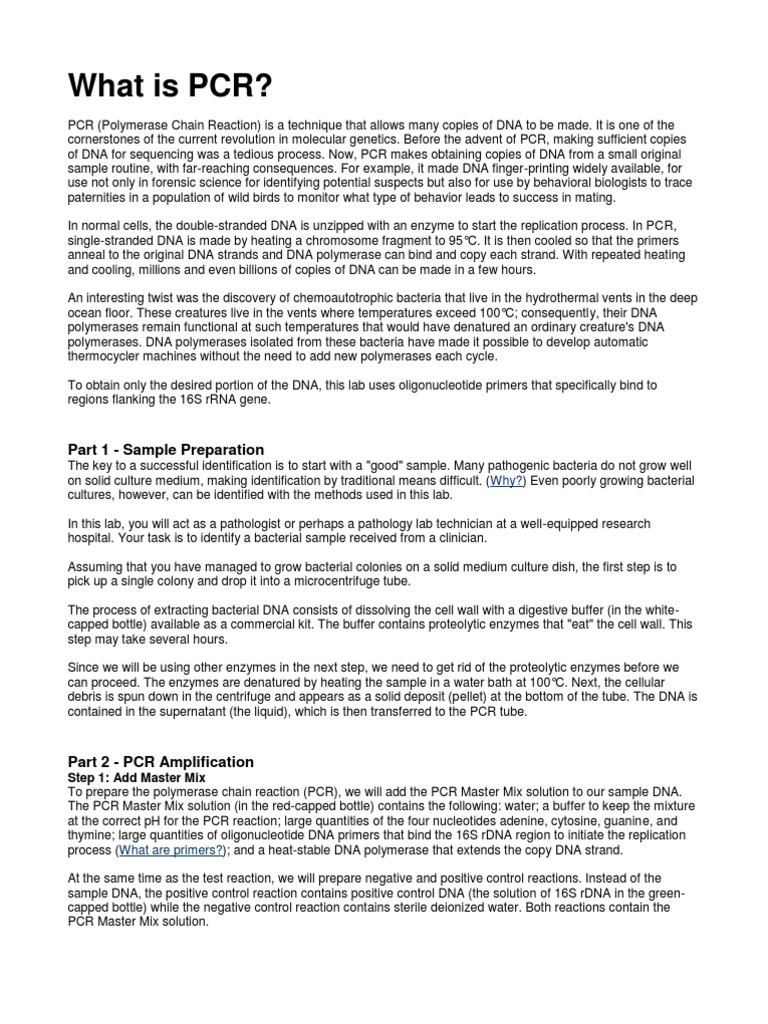 What Is PCR?: Part 1 - Sample Preparation | PDF | Polymerase Chain ...