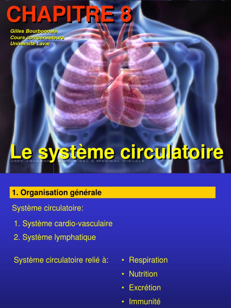Système Circulatoire | PDF | Globule blanc | Athérome