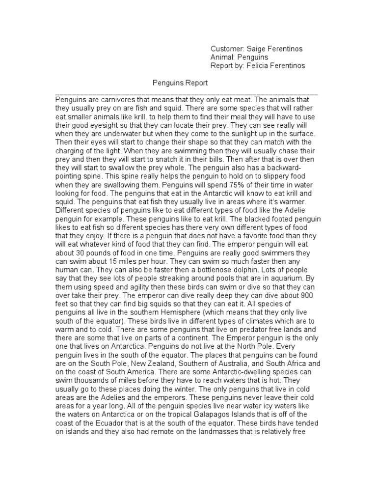 Penguin Report | PDF | Penguin | Feather