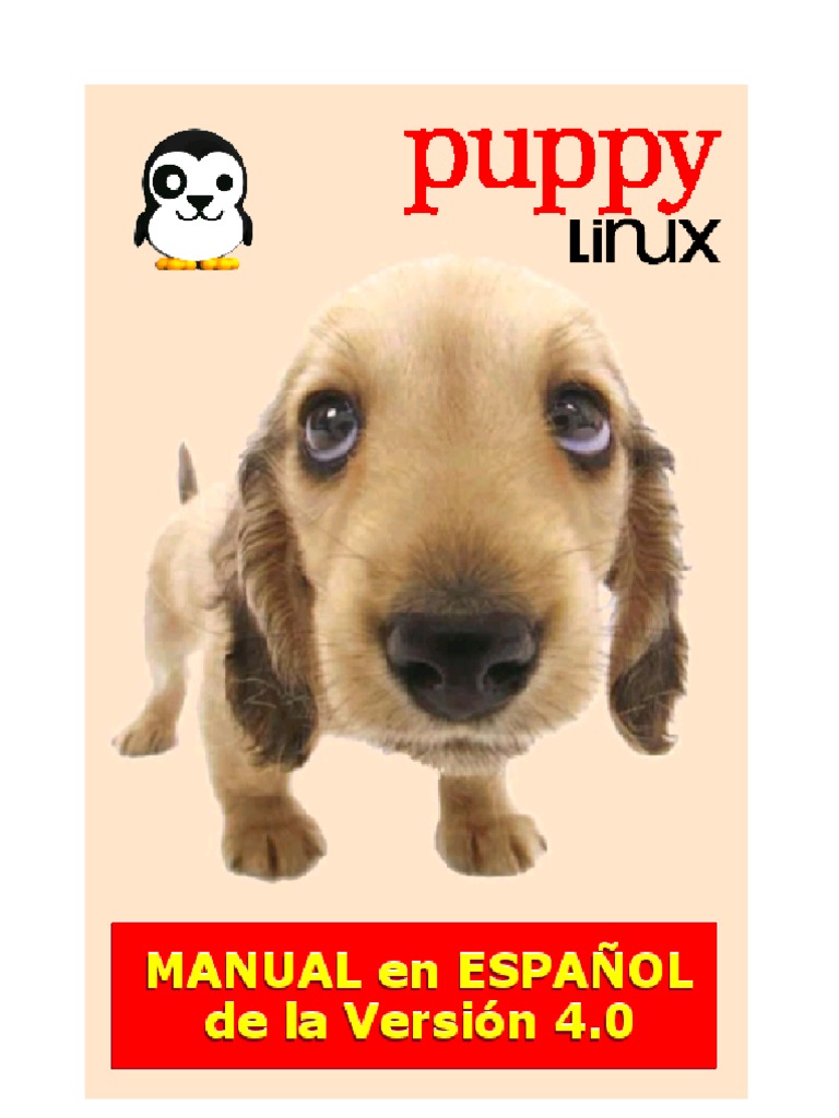 Manual de Puppy Linux v4.0 A5 | PDF | Archivo de computadora | Arranque