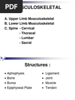 Musculoskeletal System Abbreviations: Abbreviation Meaning | PDF ...
