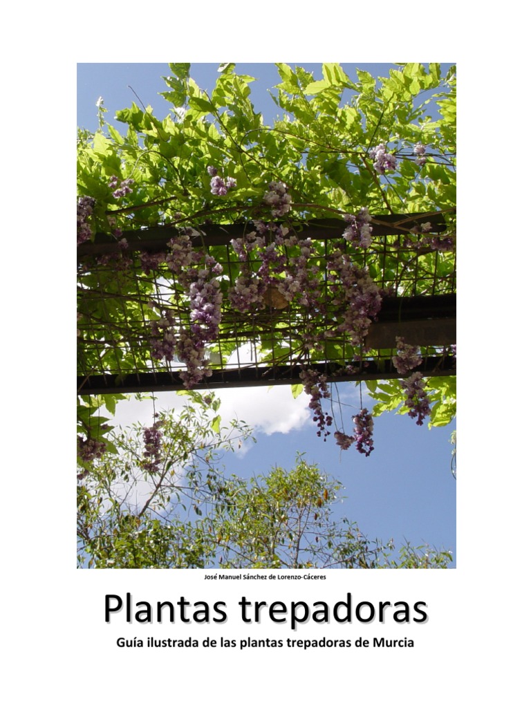 Guia de Plantas Trepadoras | PDF | Arquitectura del Paisaje | Jardinería
