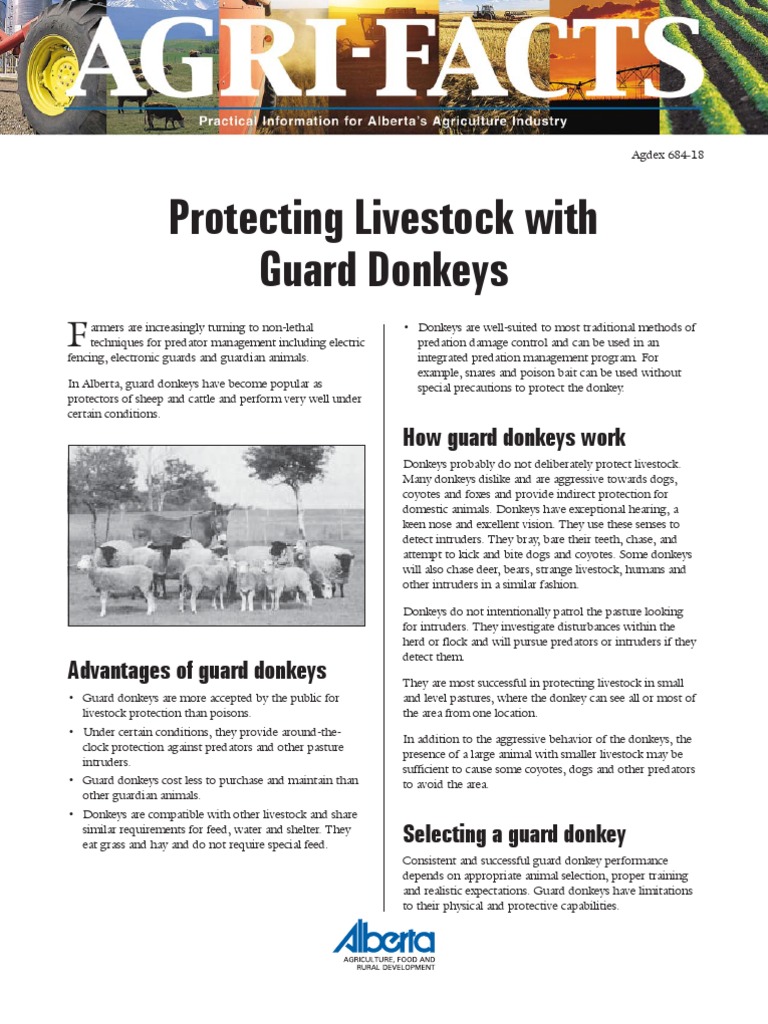 Protecting Livestock With Guard Donkeys, Govt. of Alberta | PDF ...
