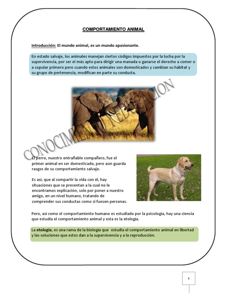 Apuntes para Ver Sobre Comportamiento Animal | PDF | Etología ...