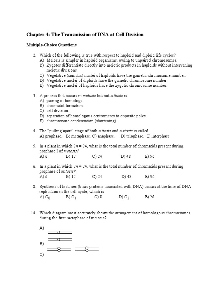 Mitosis Meiosis DNA Replication | PDF | Meiosis | Ploidy