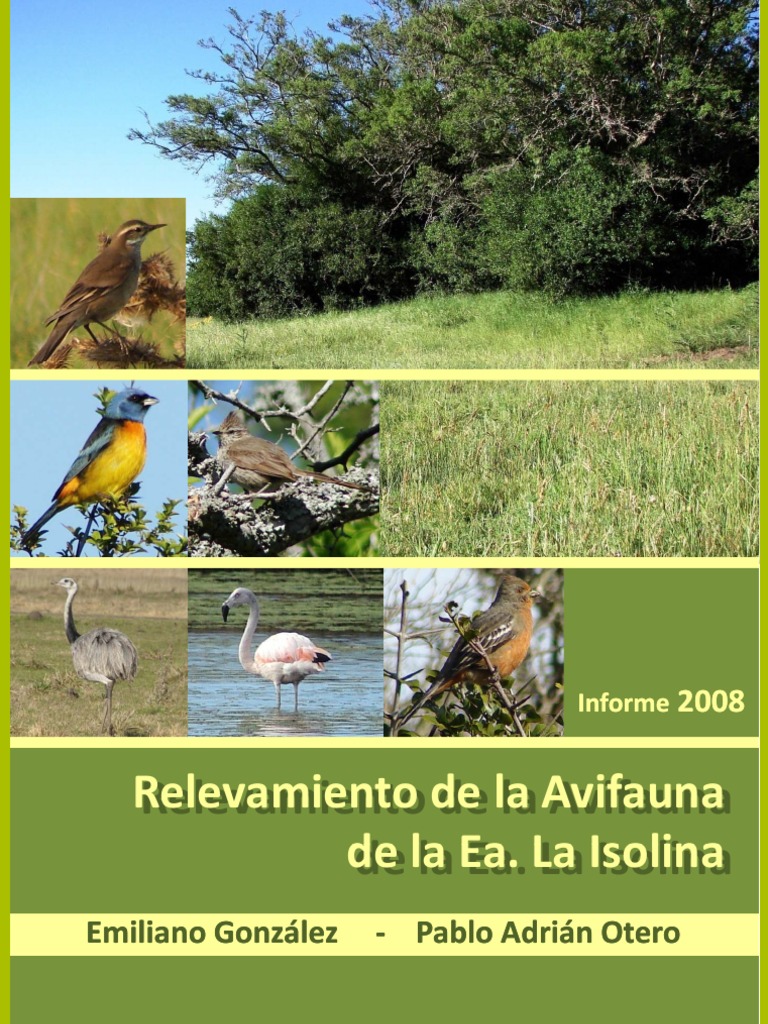 Avifauna La Isolina 2008 | PDF | Arboles | Biodiversidad