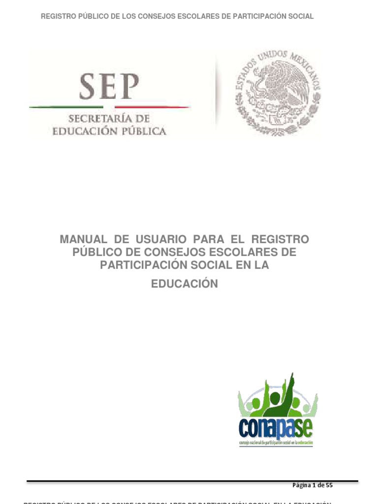Manual de Uso del REPUCE | PDF | Point and Click | Contraseña