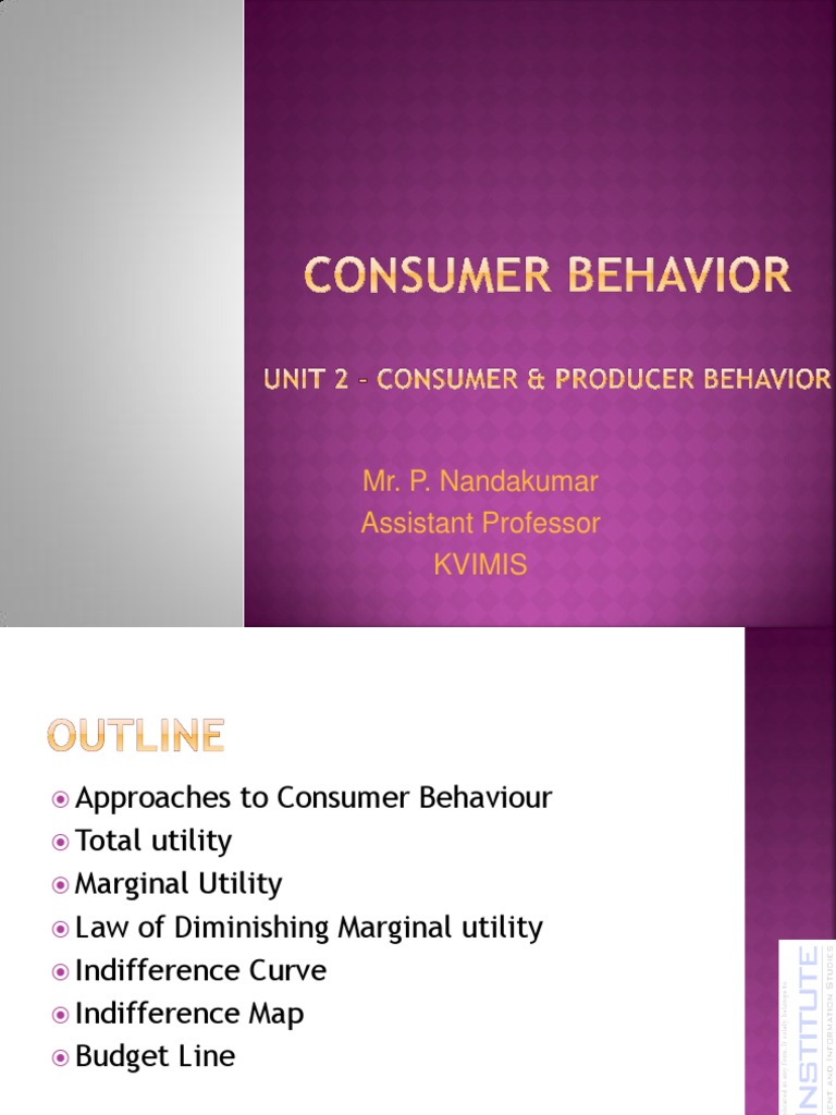 Consumer Behavior Insights | PDF | Utility | Marginal Utility