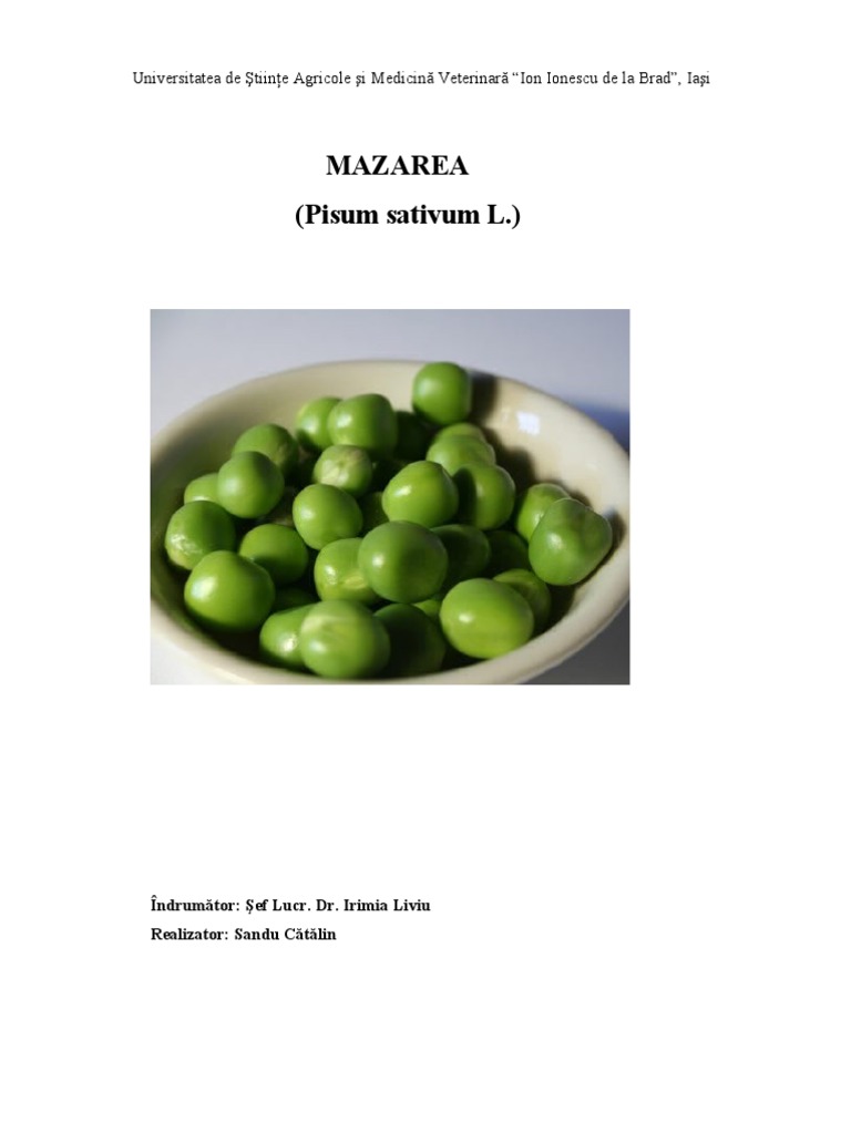 Mazarea | PDF