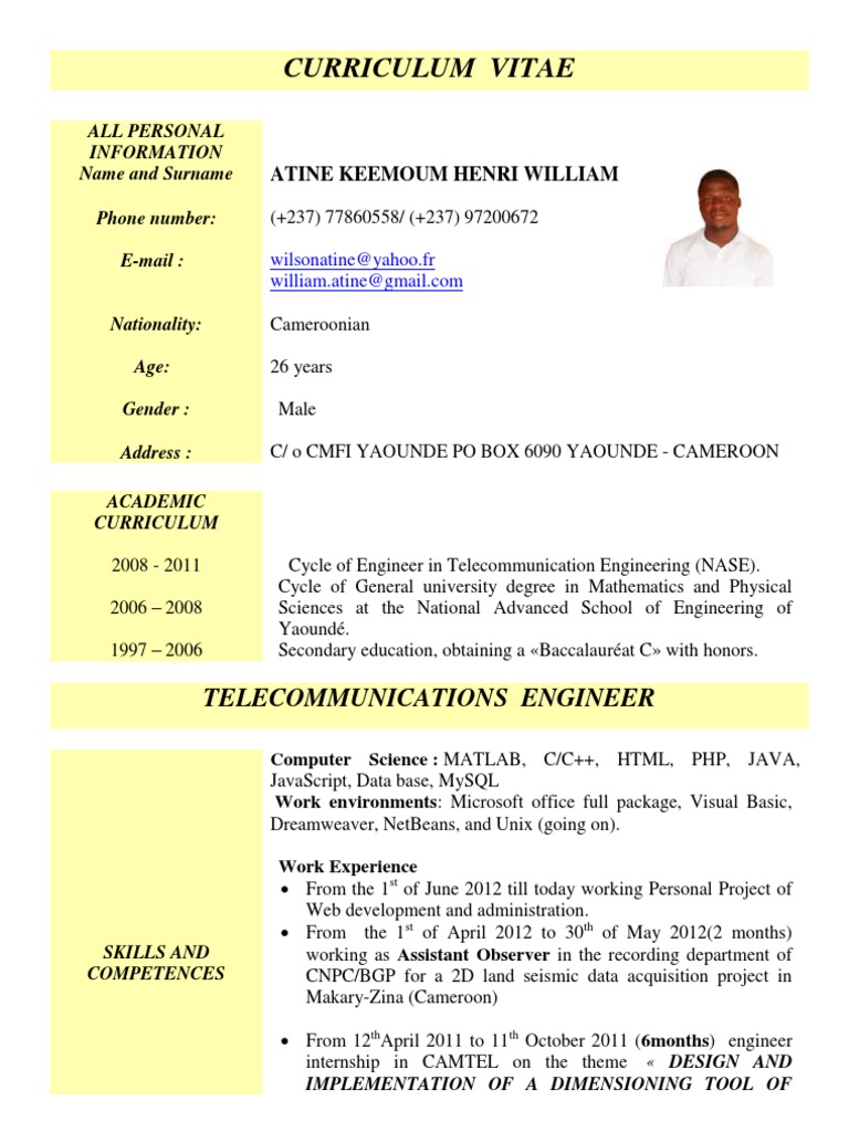 Curriculum Vitae: Telecommunications Engineer | PDF | Telecommunication | Implementation