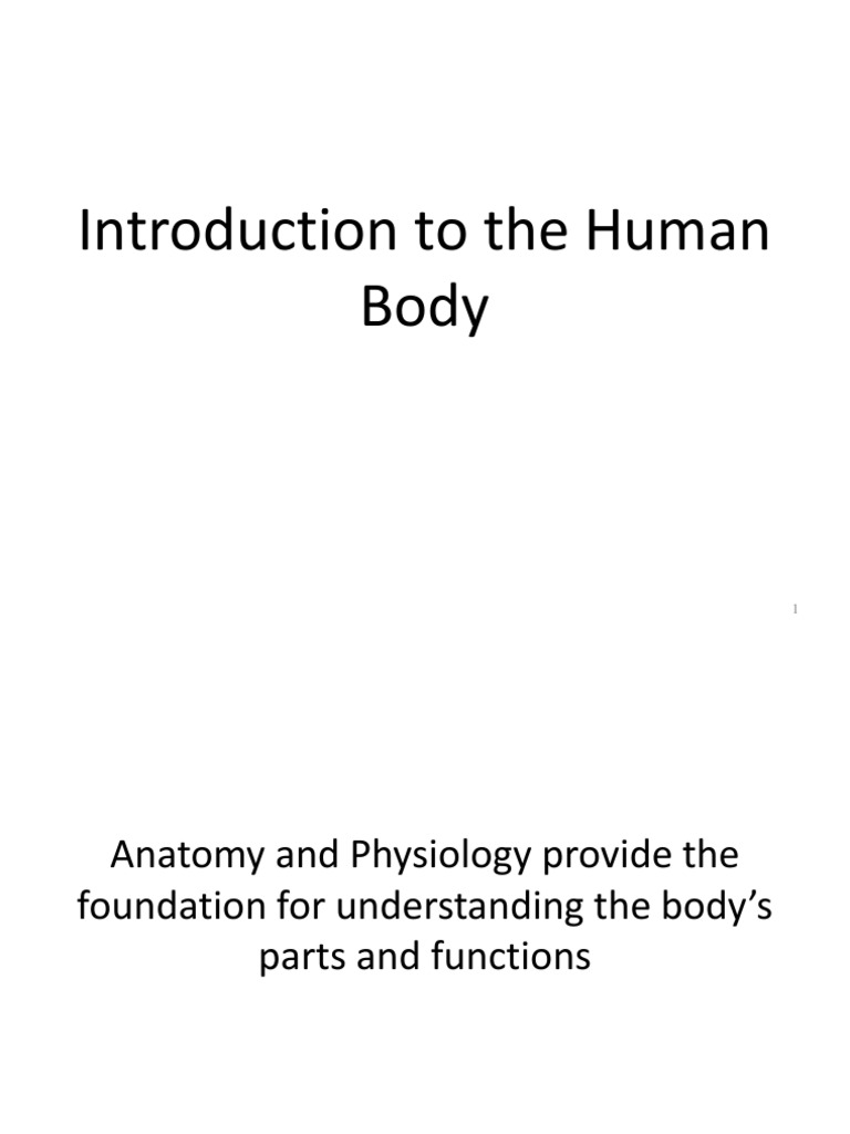 Introduction To The Human Body | PDF | Homeostasis | Abdomen