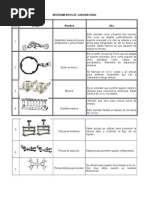 Flora Residente, Flora Transitoria, Transmisión Cruzada y Fómites | PDF ...