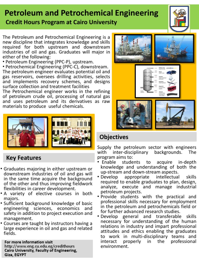 Petroleum and Petrochemical Engineering: Credit Hours Program at Cairo ...