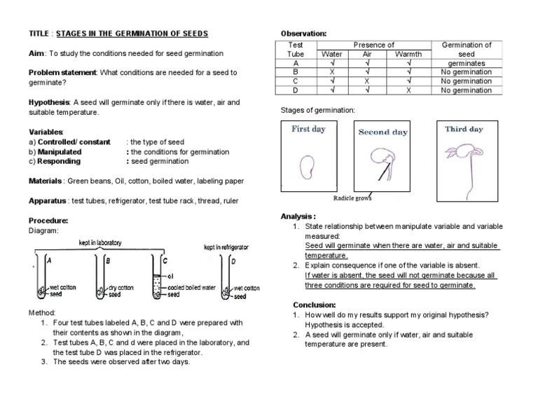 Peka Form 3 Germination of Seed | PDF