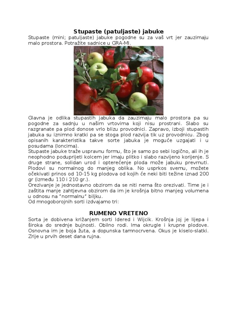 Stupaste Patuljaste Jabuke | PDF