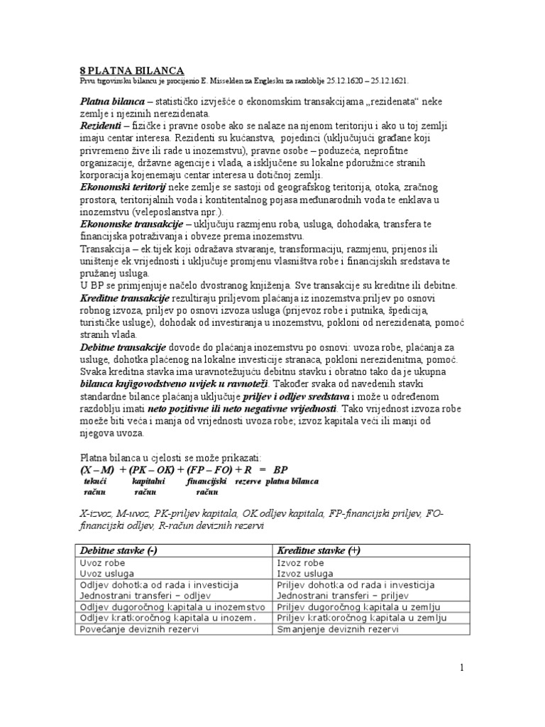 8 Platna Bilanca | PDF