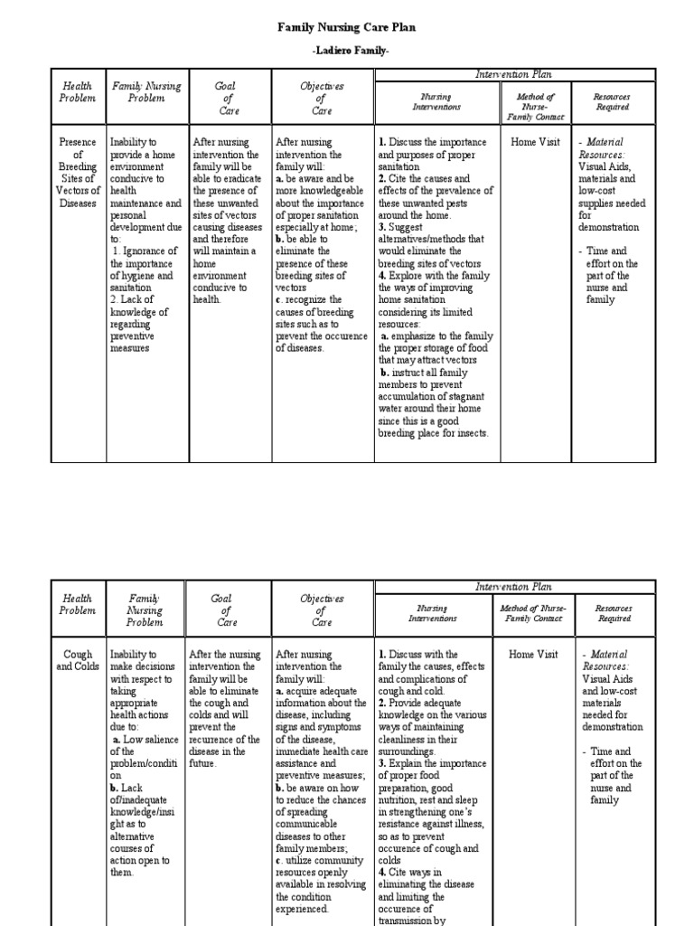 Family Nursing Care Plan | PDF