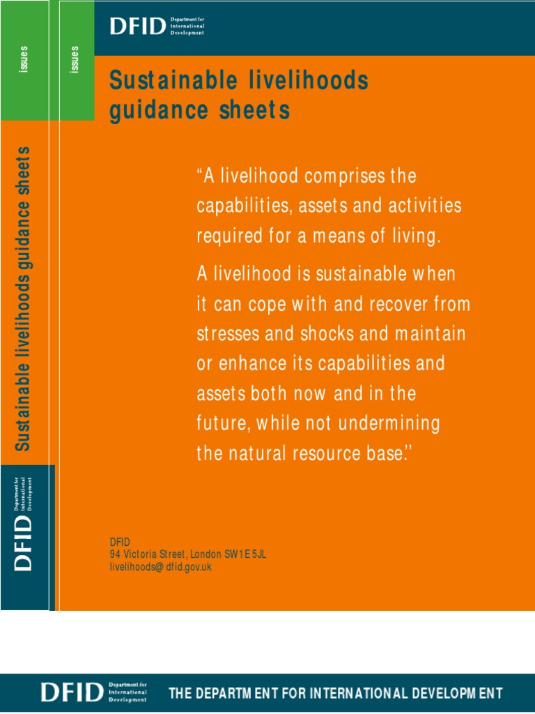 DFID Sustainable Livelihoods Guidance Sheet | PDF