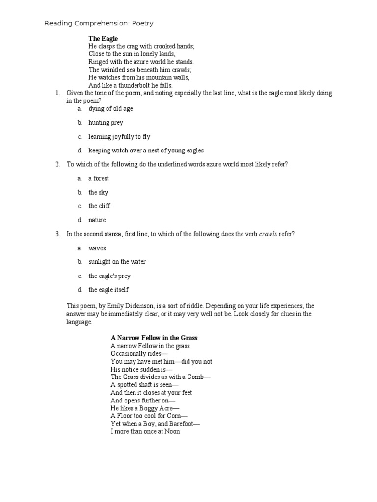 Reading Comprehension Poetry | PDF | Poetry