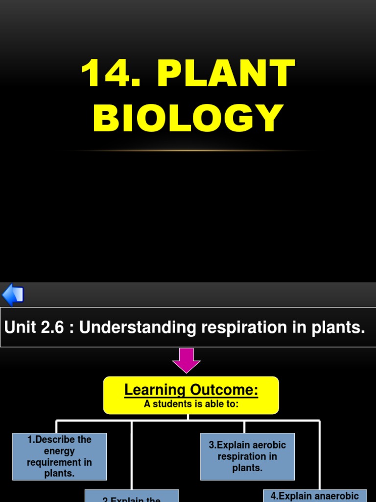 Plant Respiration BIOLOGY FORM 4 | PDF | Cellular Respiration ...