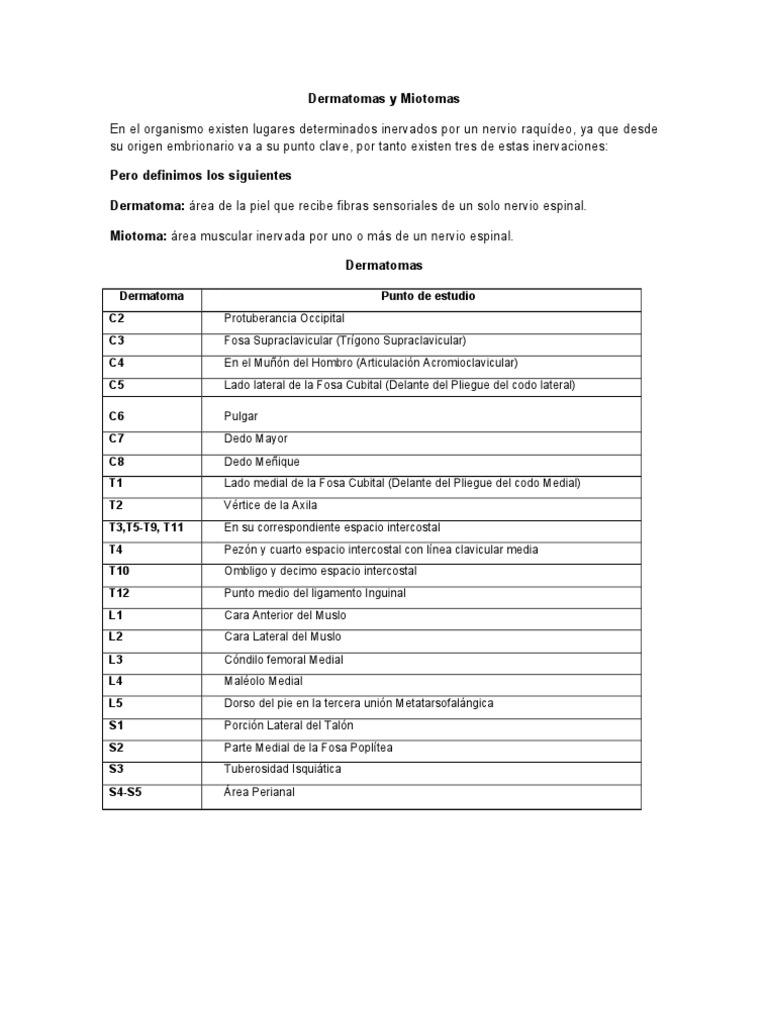 Tabla De Miotomas Y Dermatomas