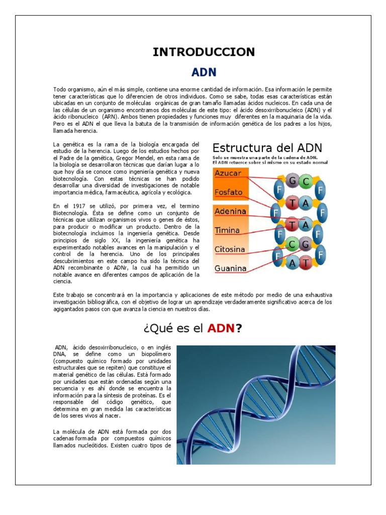 ADN3 | PDF | Adn | Codigo genetico