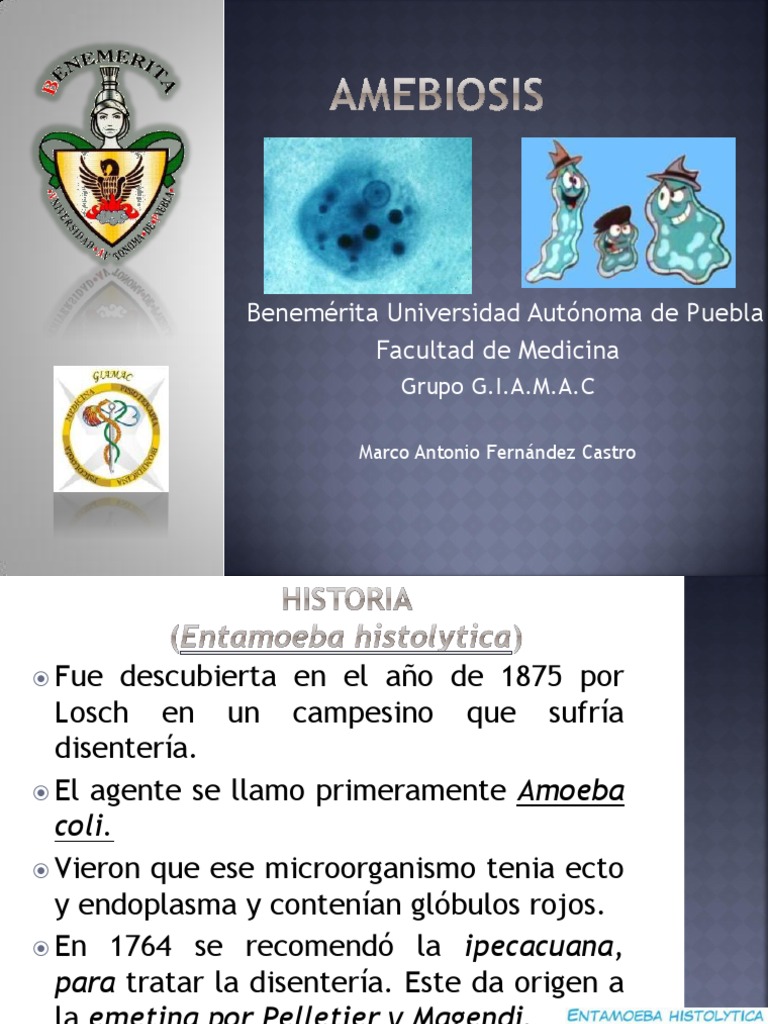 Amebiasis y su Diagnóstico en Heces | PDF | Anatomía | Gastroenterología