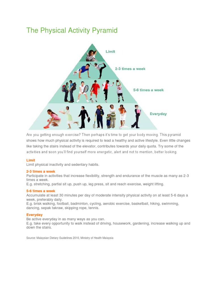 The Physical Activity Pyramid | PDF | Physical Exercise | Vegetables