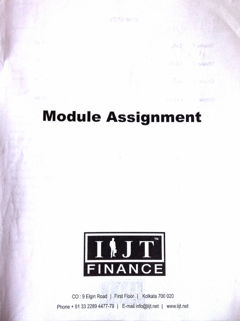 Tally Assignment IIJT | PDF