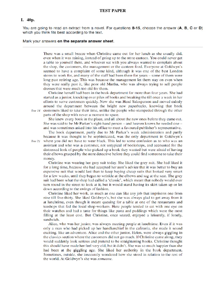 Opinion Essay Test Paper Guide | PDF