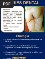 Técnica de Bass Modificada | PDF | Diente | Odontología