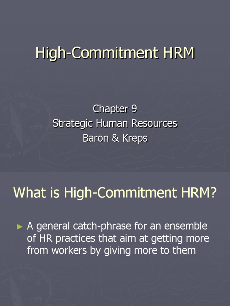 An Overview of High-Commitment Human Resource Management Practices ...