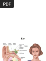 Grade 12 Life Science The Ear PDF | PDF | Ear | Hearing
