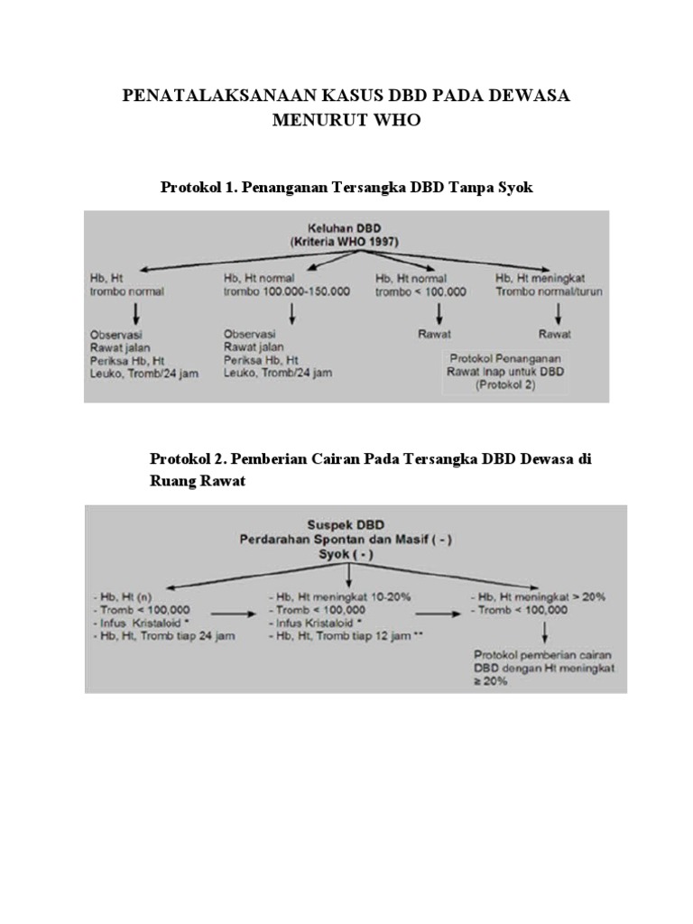 Penatalaksanaan Kasus DBD Pada Dewasa Menurut Who | PDF