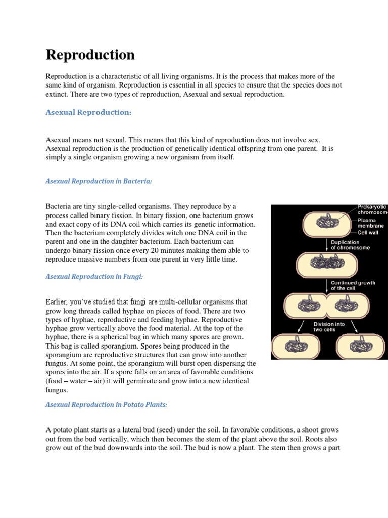 Essential Reproduction Process in All Living Organisms | PDF | Flowers ...