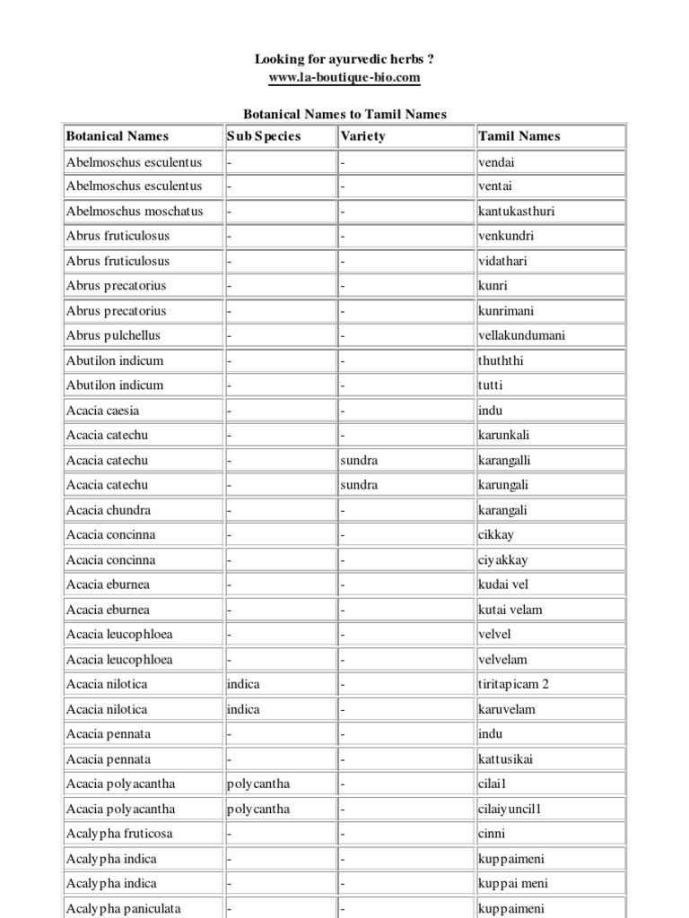 Botanical and Tamil Names of Herbs | PDF