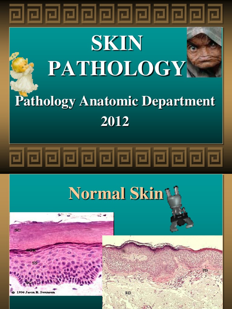 Skin Pathology | PDF | Epidermis | Cutaneous Conditions