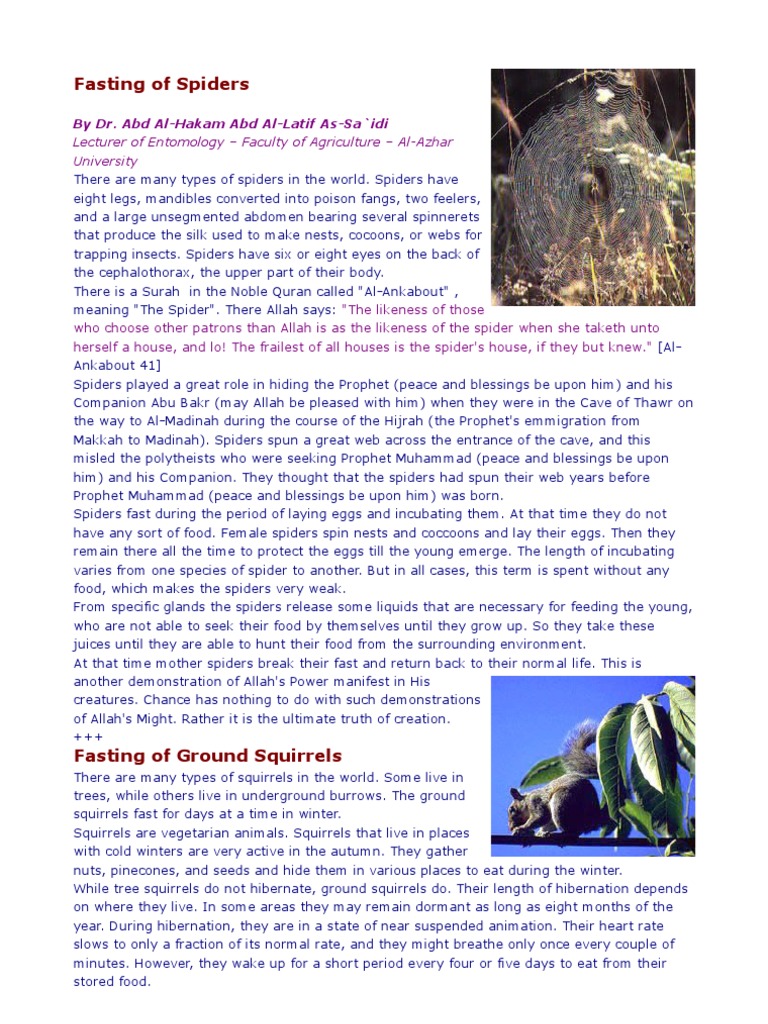 Fasting of Animals | PDF | Pupa | Penguin