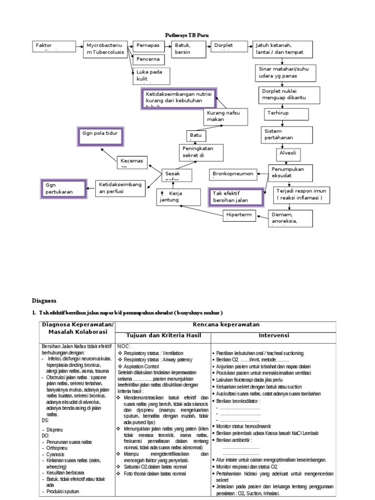 Pathways TB Paru | PDF