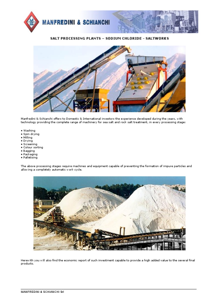 206 2EN Salt Processing Plants Sodium Chloride Saltworks | PDF | Sodium ...