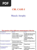 Medigrip Sizing Chart | PDF | Clinical Medicine | Limbs (Anatomy)