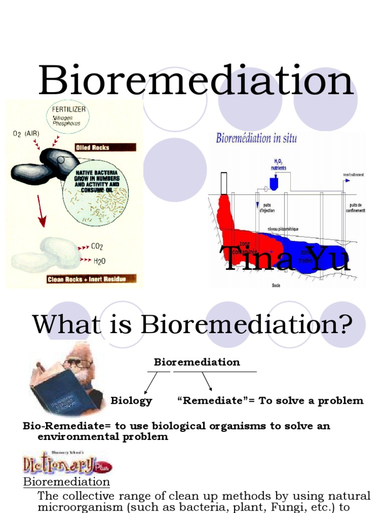 Bioremediation | Bacteria | Earth & Life Sciences