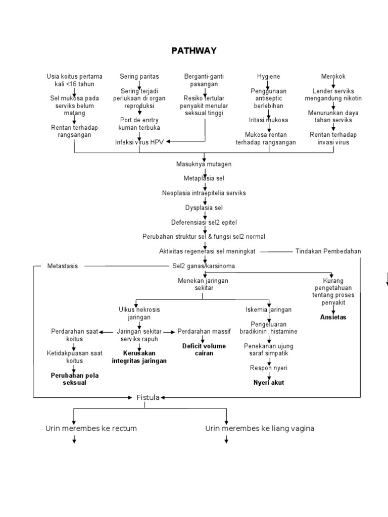 Pathway CA Servik | PDF