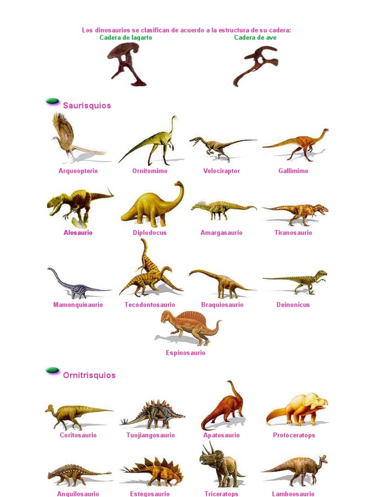 Dinosaur Ios | PDF