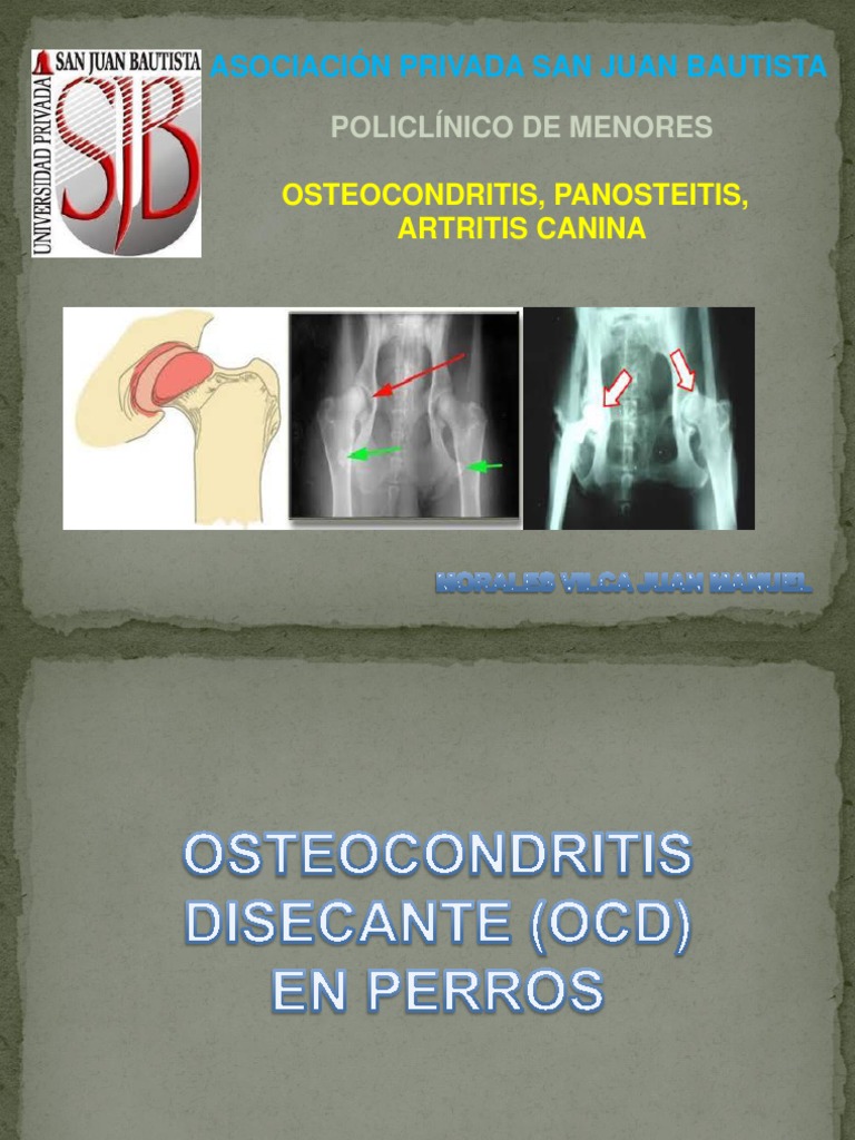 Enfermedades de Artritis, Panosteitis y Osteocondritis | PDF | Artritis ...