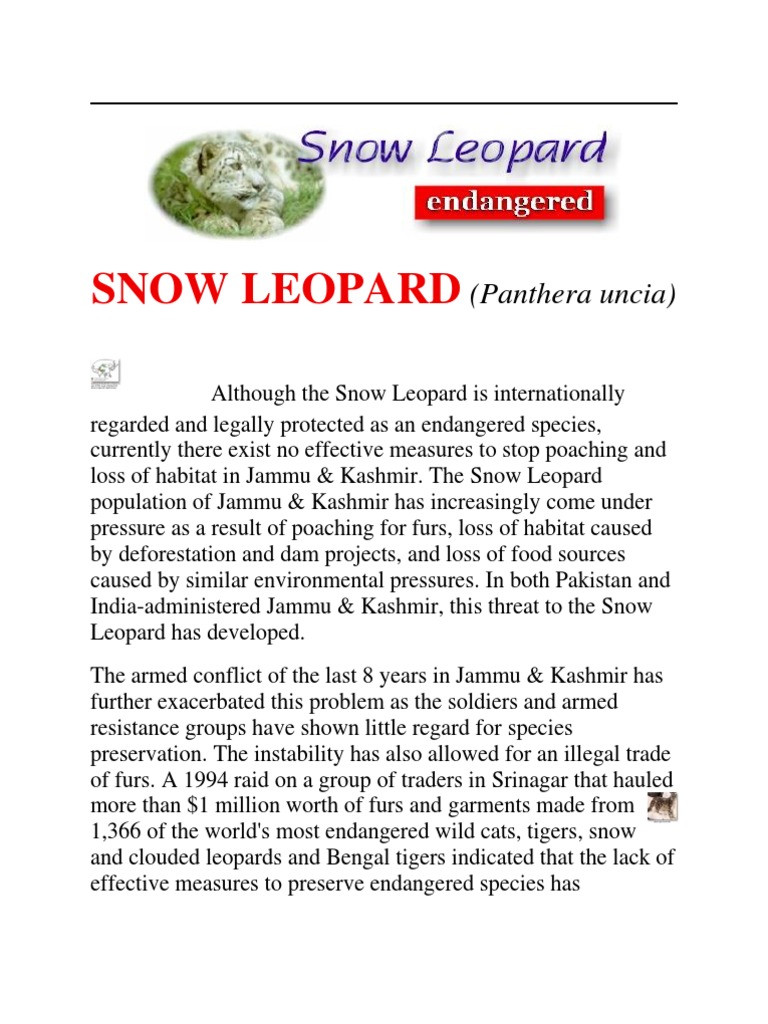 Snow Leopard: (Panthera Uncia) | PDF | Leopard | Poaching