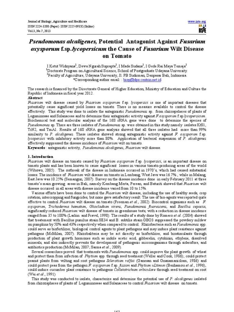 Pseudomonas Alcaligenes, Potential Antagonist Against Fusarium ...