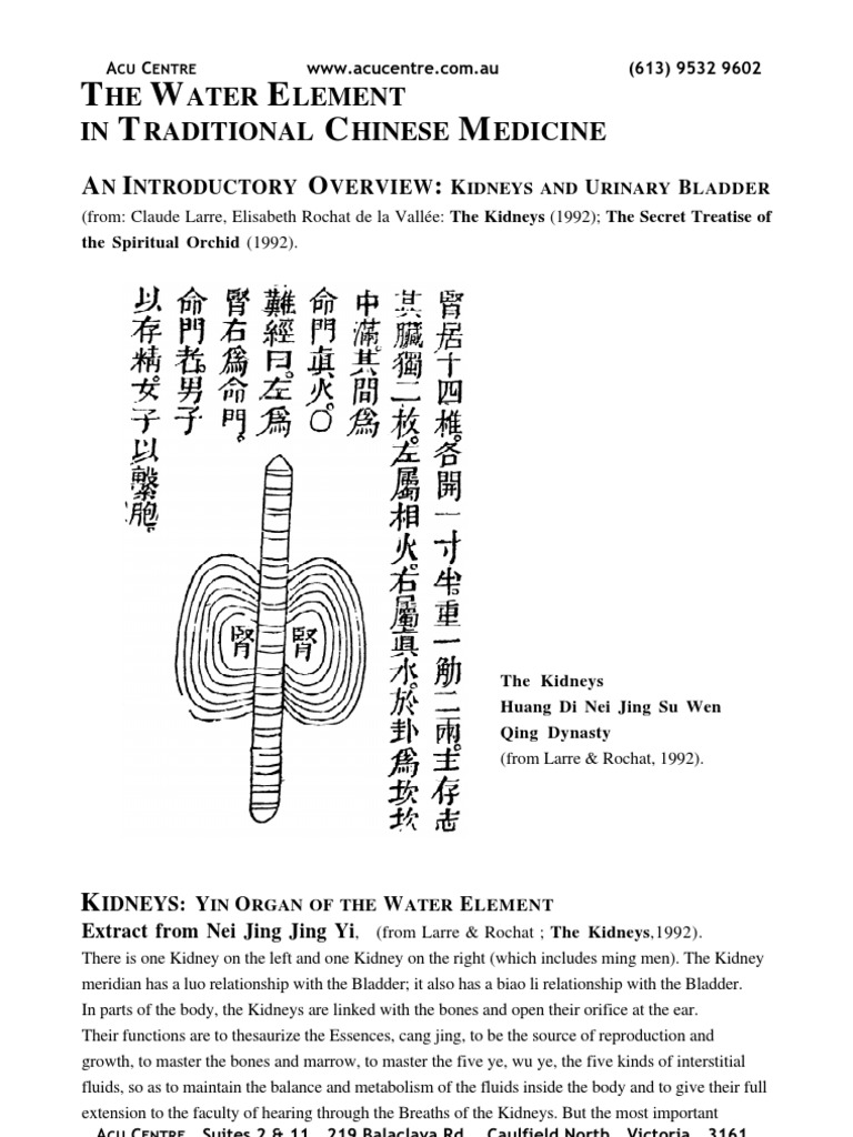 Kidiney Intro Overview | PDF
