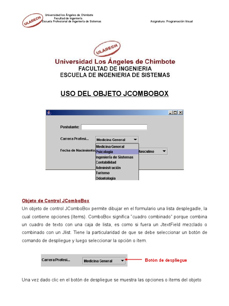 Tema 5 Objeto JCombobox | PDF | Variable (informática) | Point and Click