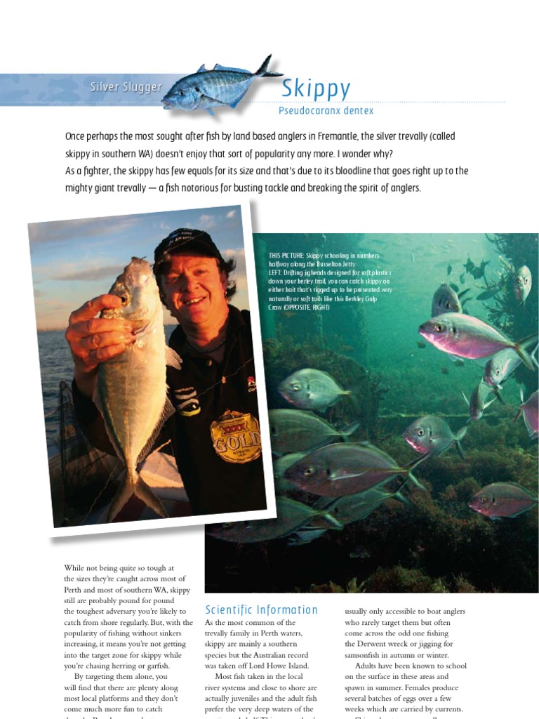 Skippy | PDF | Angling | Fishing Tackle